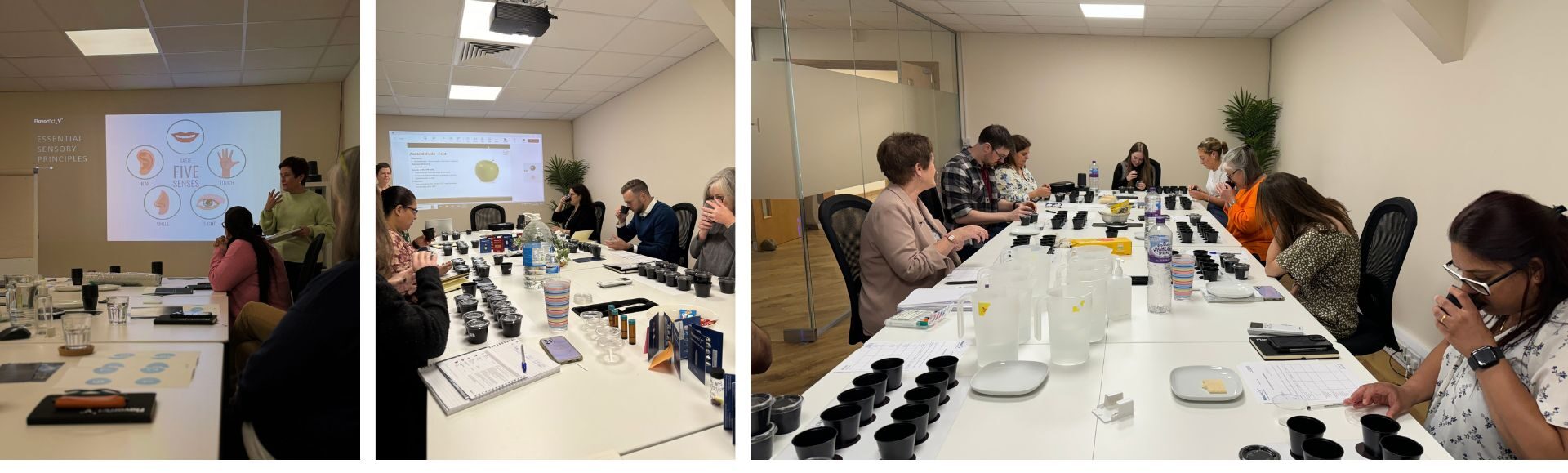 Meet FlavorActiV's Sensory Panel | FlavorActiV Blog