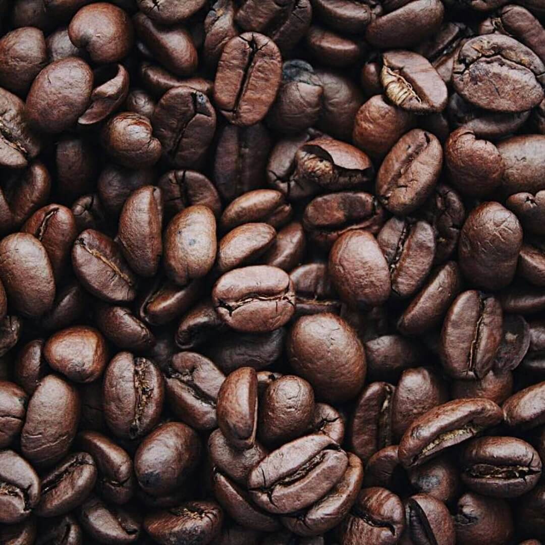 Coffee Sensory Guide: From Bean to Brew Made Simple